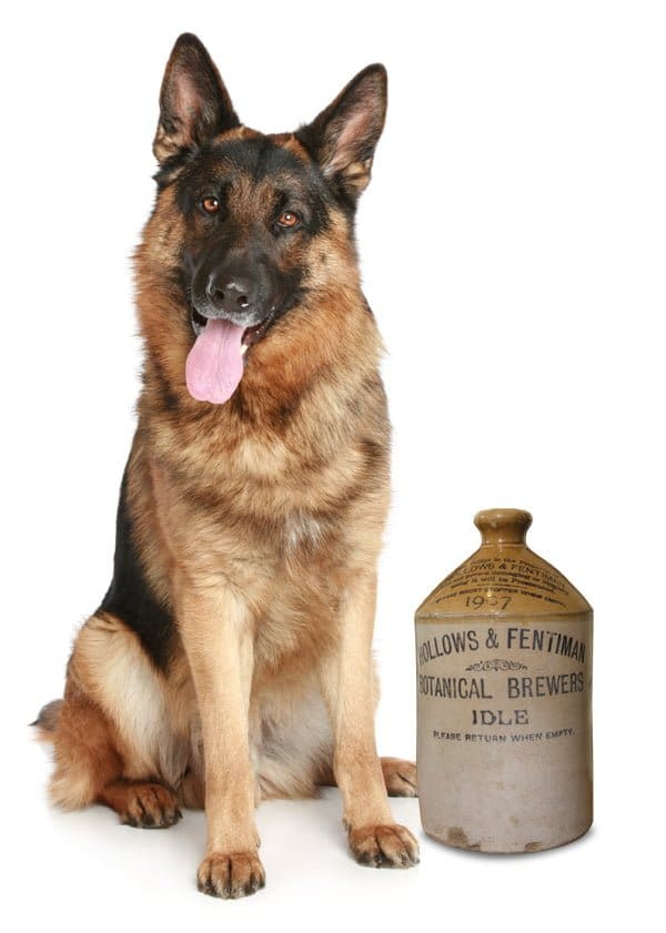 Strange brew | appetite magazine