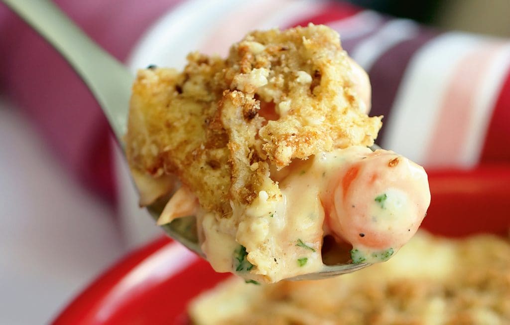 Back to your roots bake | appetite magazine