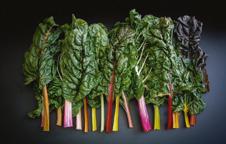 The big slow down - appetite magazine