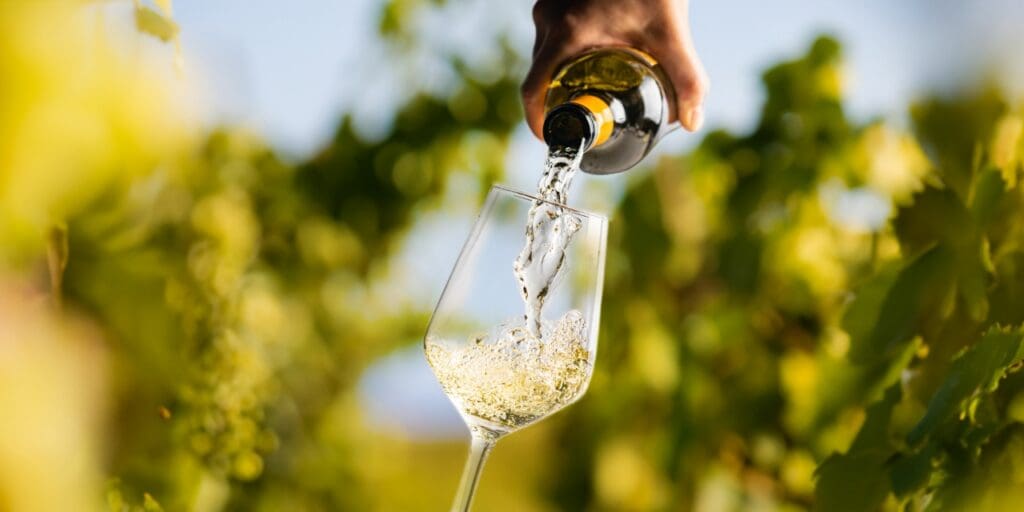 Guest Wines set to host Get into Wine event | appetite magazine