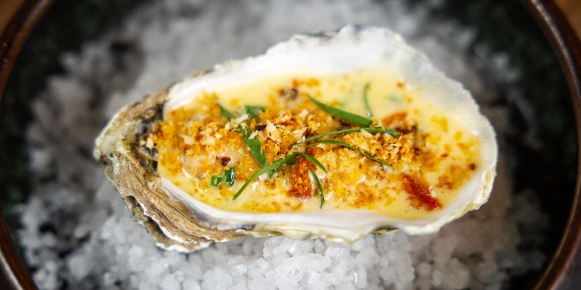 Osters launched on Gosforth High Street | appetite magazine