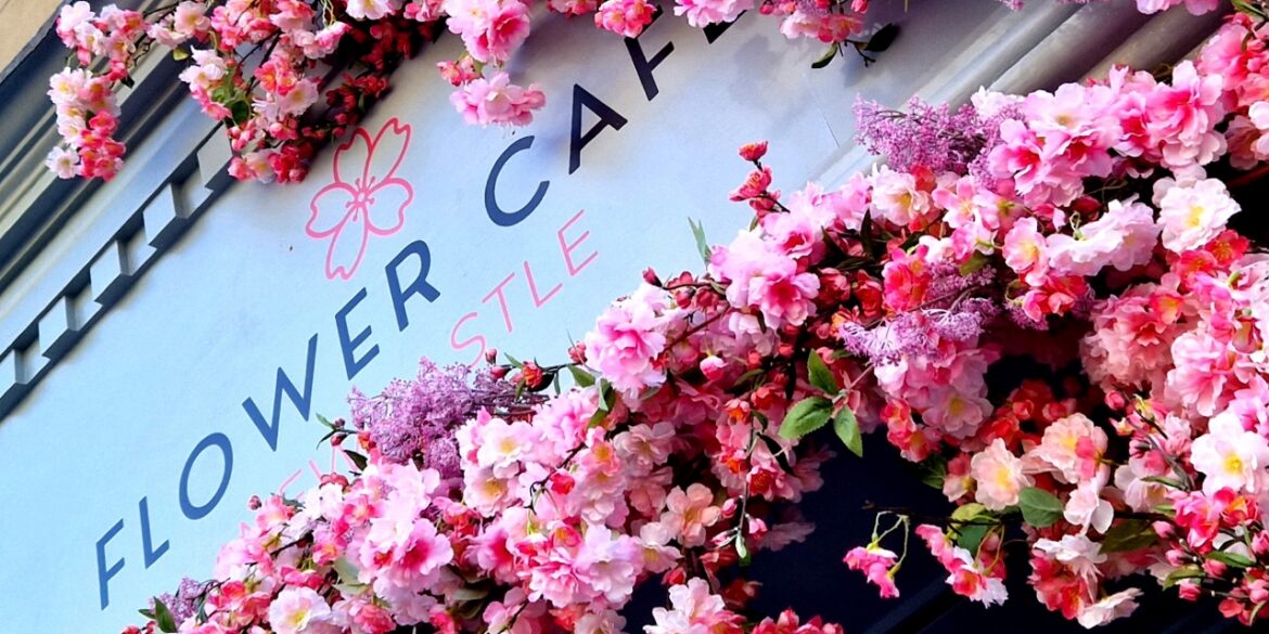 Flower Café heading to Sunderland after Newcastle and Alnwick success