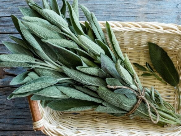 Tomahawk set to launch The Hawk at Ponteland pub venue