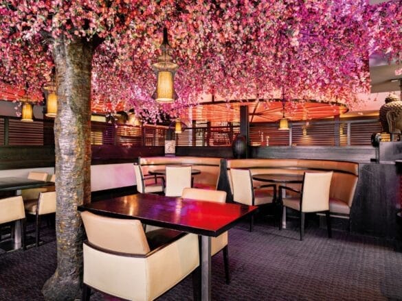 Tomahawk set to launch The Hawk at Ponteland pub venue