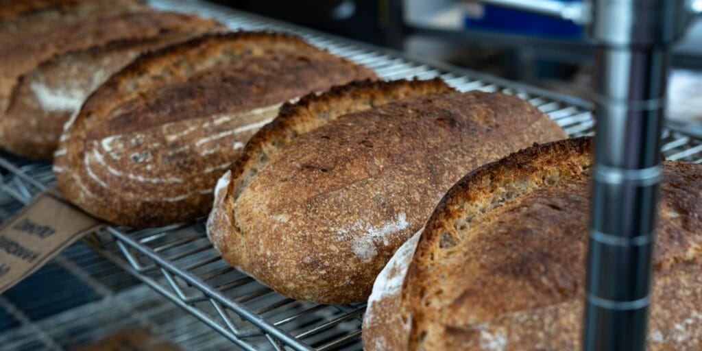 The rise of Northern Rye | Appetite magazine Summer 2025